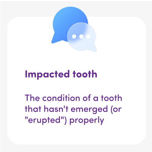 Common Terms Your Dentist Might Use and How Understanding Them Can ...